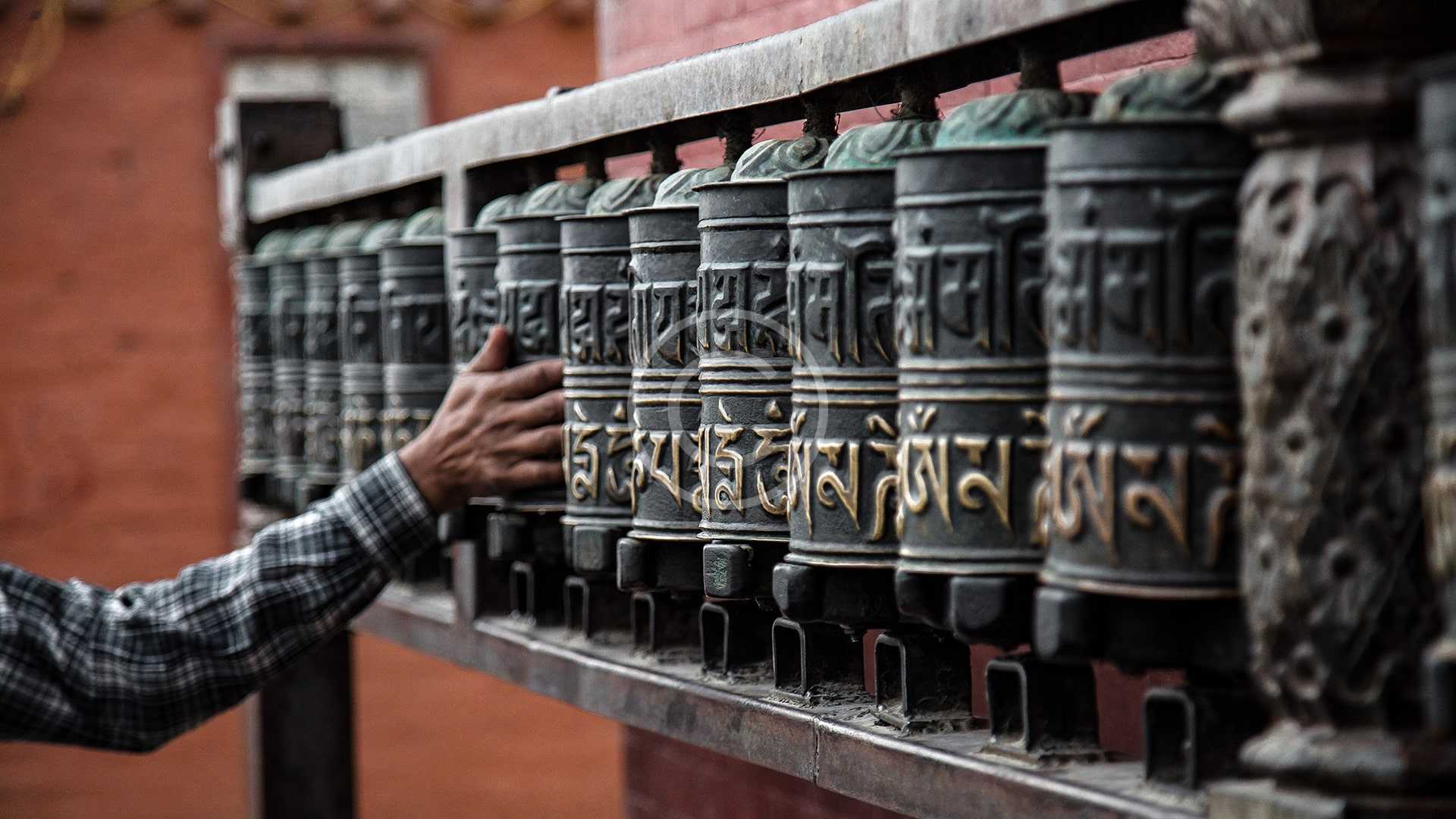 Keeping the Ancient Buddhist Library - Parmarth School of Yoga